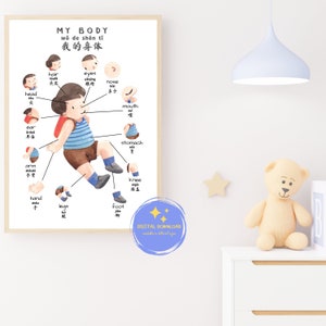 My Body ENGLISH CHINESE Bilingual Poster Simplified and Traditional ...