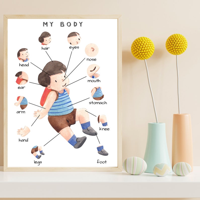 My Body ENGLISH Poster Instant Download Montessori Kids Children ...