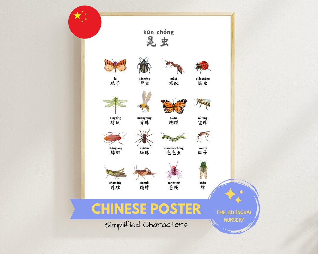 Insects CHINESE SIMPLIFIED Poster Instant Download Montessori Kids ...