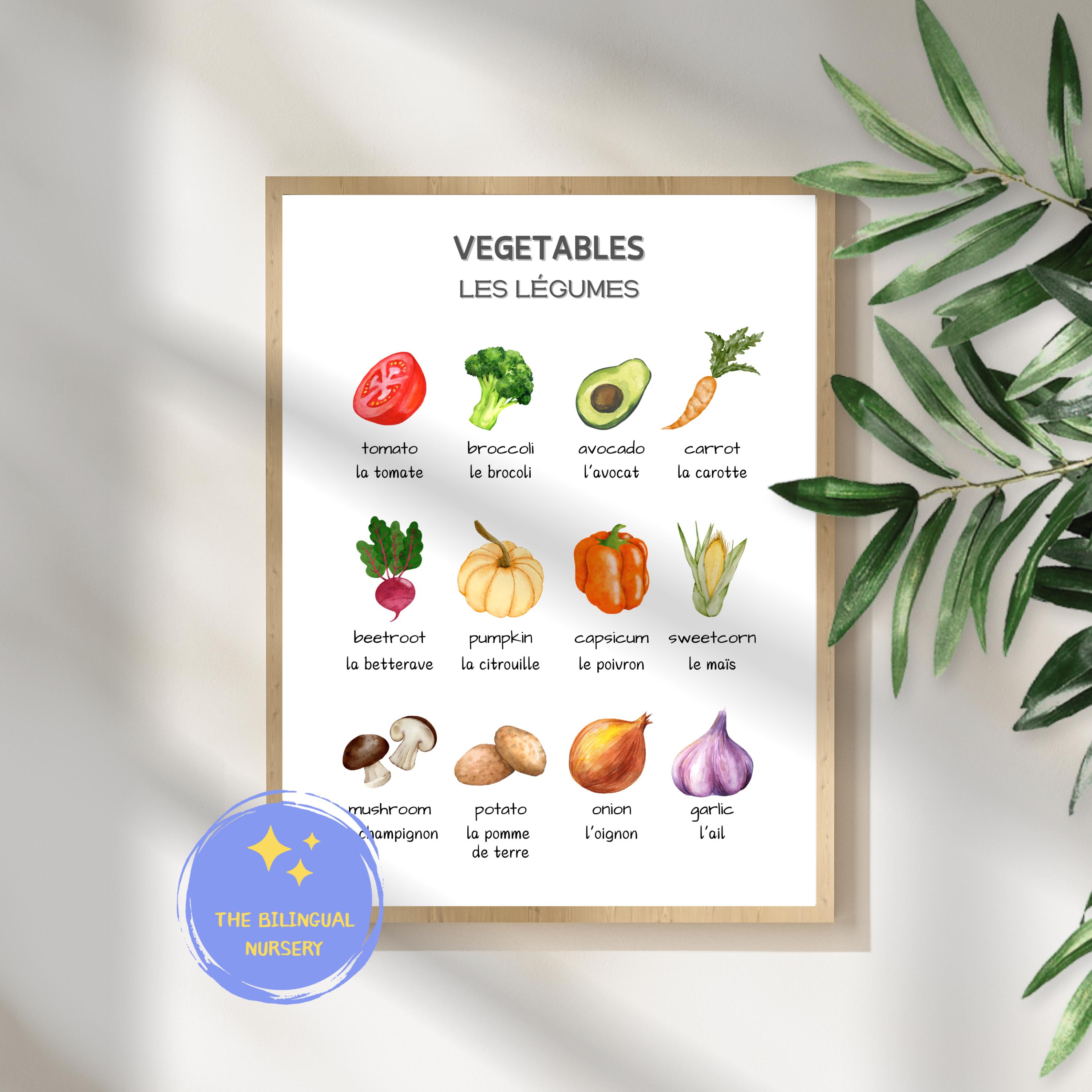 VEGETABLES FRENCH ENGLISH Bilingual Poster Instant Download Educational ...