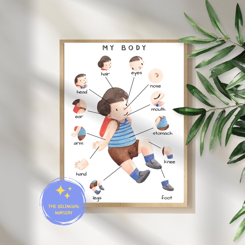 My Body ENGLISH Poster Instant Download Montessori Kids Children ...