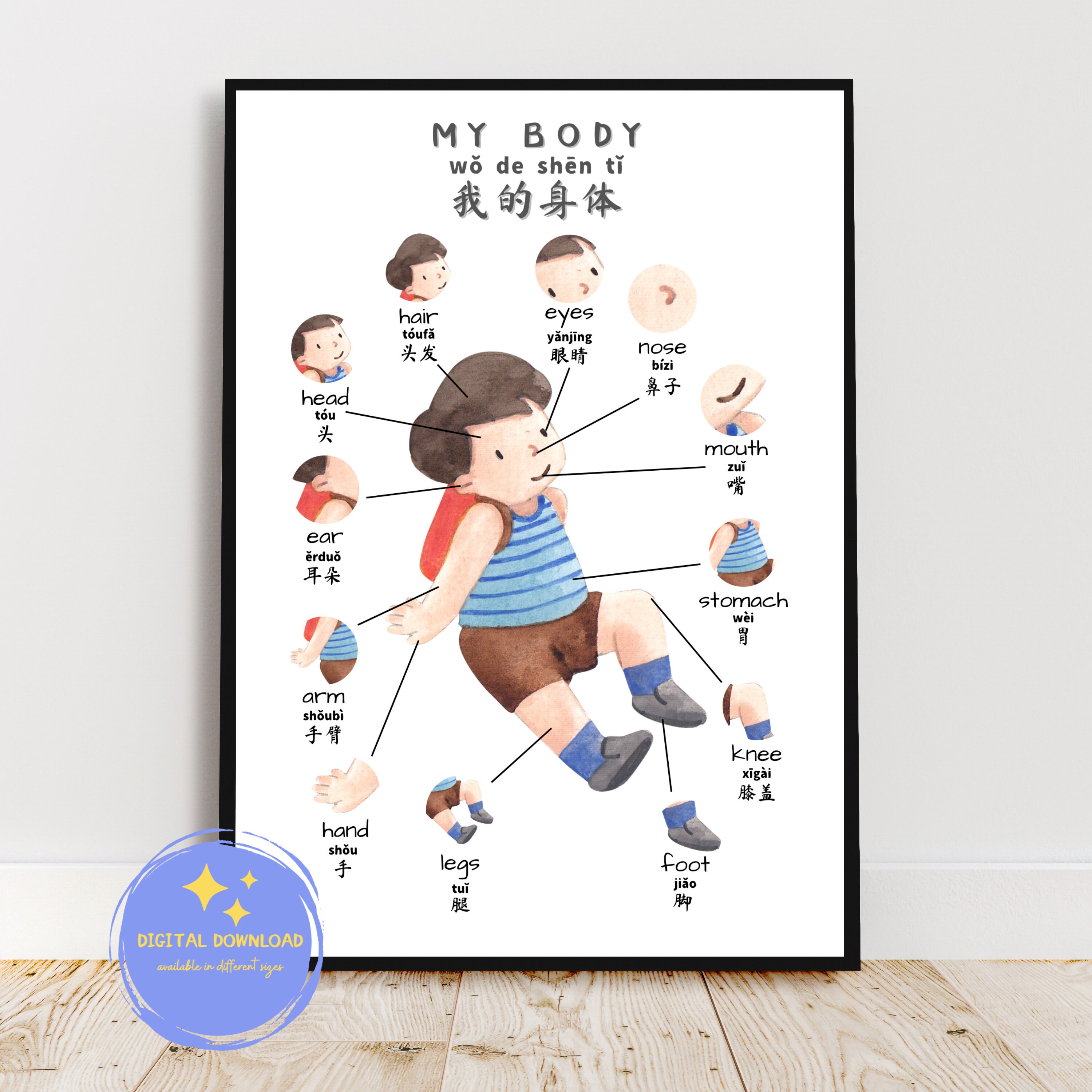 My Body ENGLISH CHINESE Bilingual Poster Simplified and Traditional ...