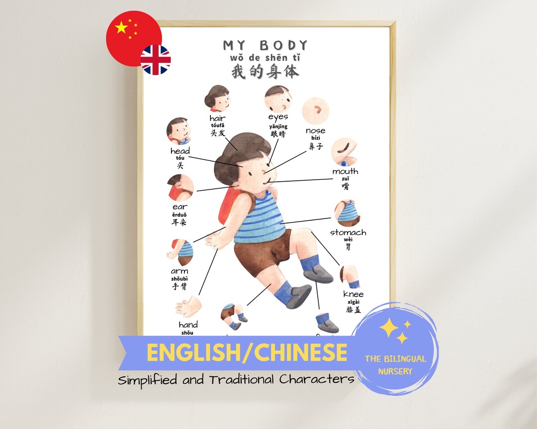 My Body ENGLISH CHINESE Bilingual Poster Simplified and Traditional ...
