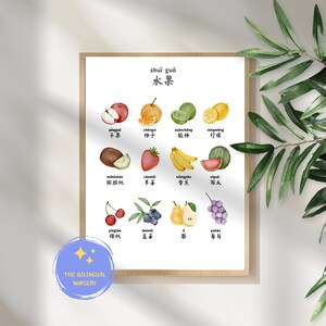 FRUITS CHINESE Instant Download Educational Poster Montessori Children ...