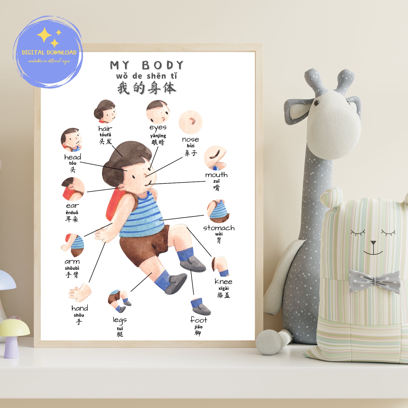My Body ENGLISH CHINESE Bilingual Poster Simplified and Traditional ...