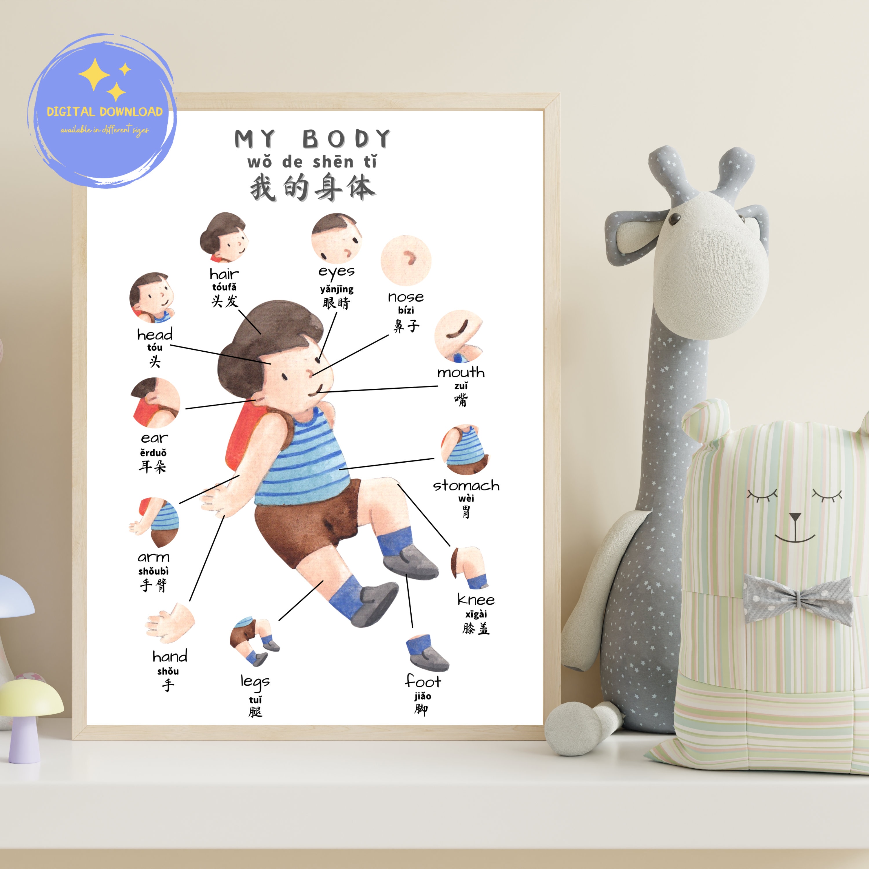 My Body ENGLISH CHINESE Bilingual Poster Simplified and Traditional ...