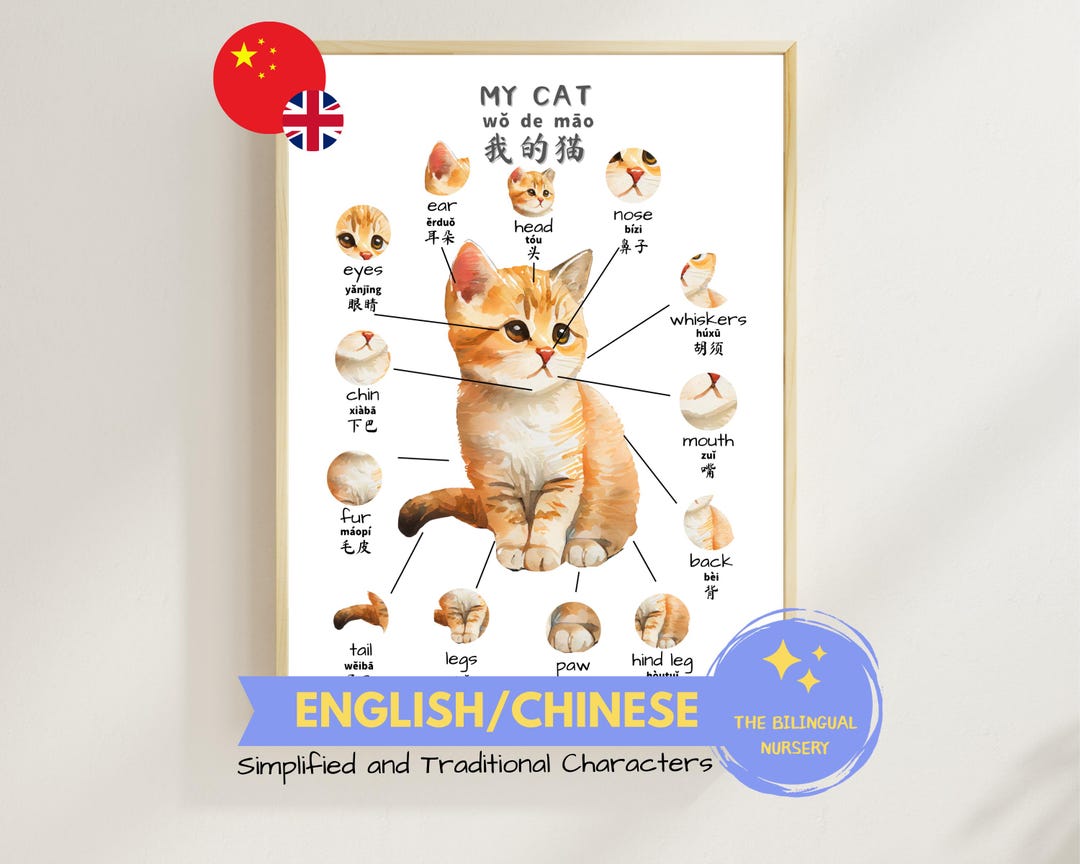 My Cat ENGLISH CHINESE Bilingual Poster Simplified and Traditional ...