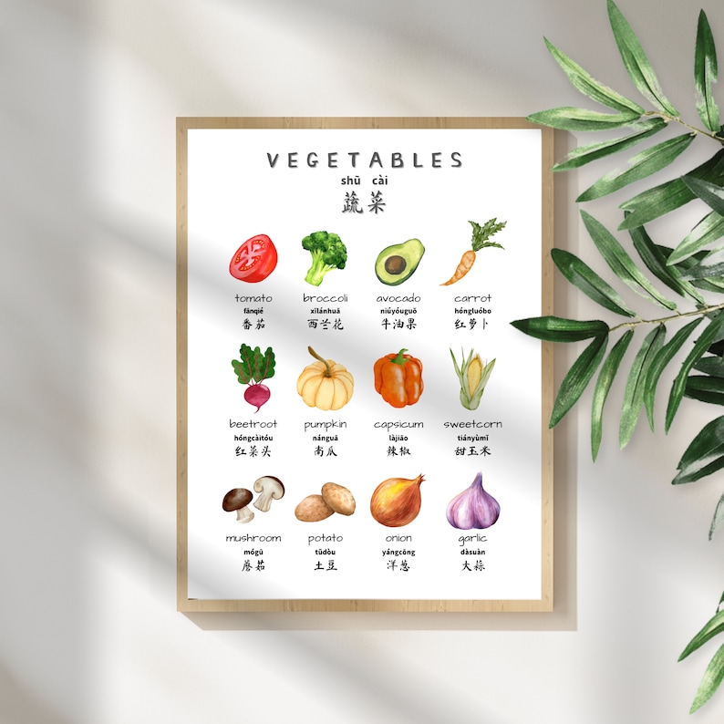 VEGETABLES CHINESE/ENGLISH Instant Download Educational Poster ...