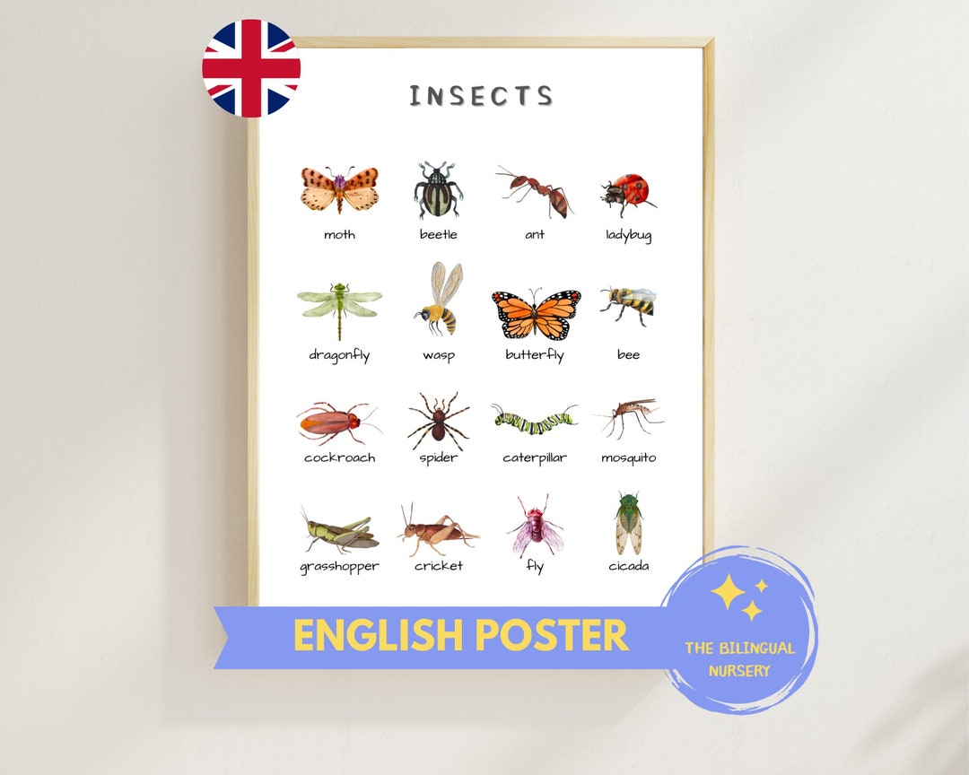 Insects ENGLISH Poster Instant Download Montessori Kids Children ...
