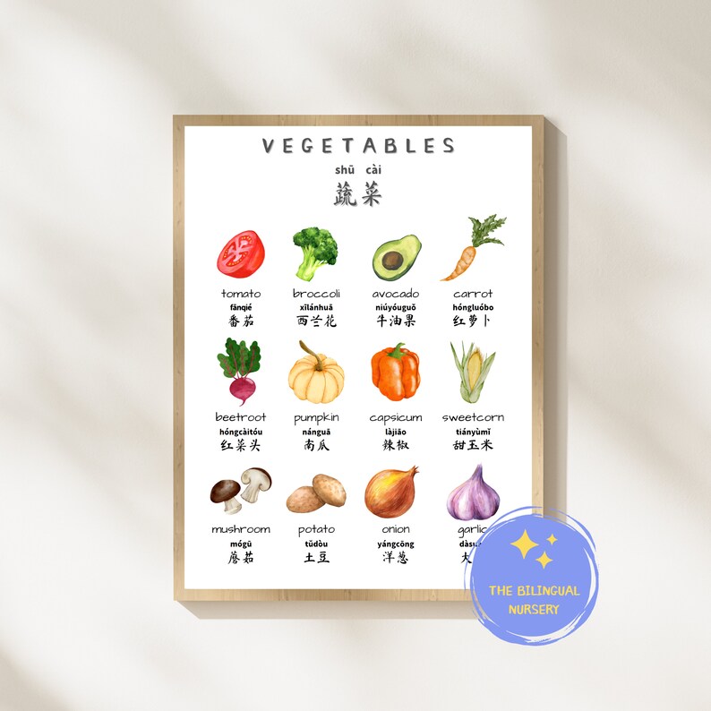 VEGETABLES CHINESE/ENGLISH Instant Download Educational Poster ...