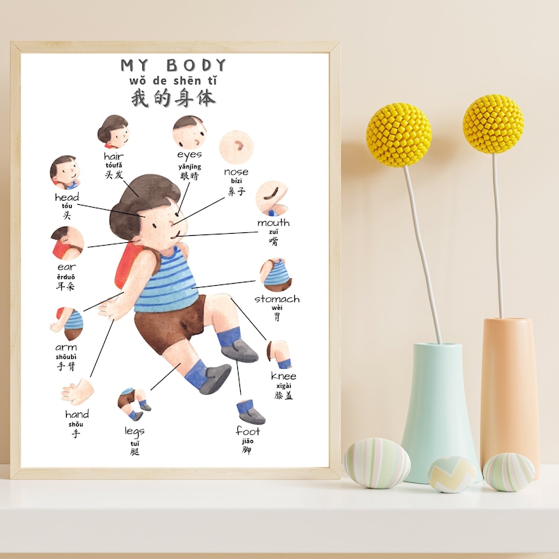 My Body ENGLISH CHINESE Bilingual Poster Simplified and Traditional ...