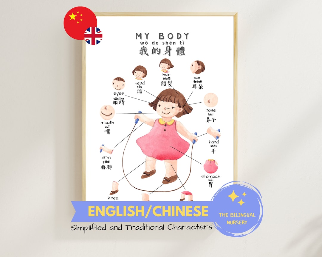 My Body Female ENGLISH CHINESE Bilingual Poster Simplified and ...