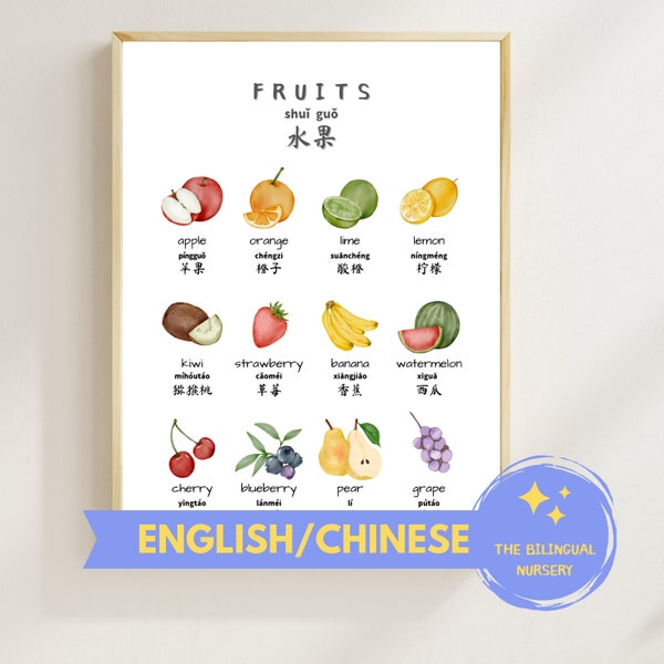 Chinese Poster for Classroom - Etsy