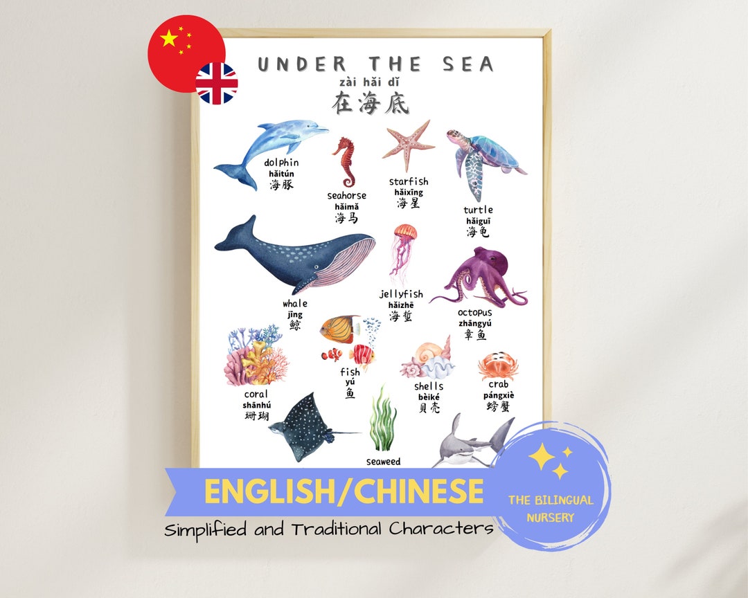 Under the Sea ENGLISH/CHINESE Simplified AND Traditional Bilingual ...