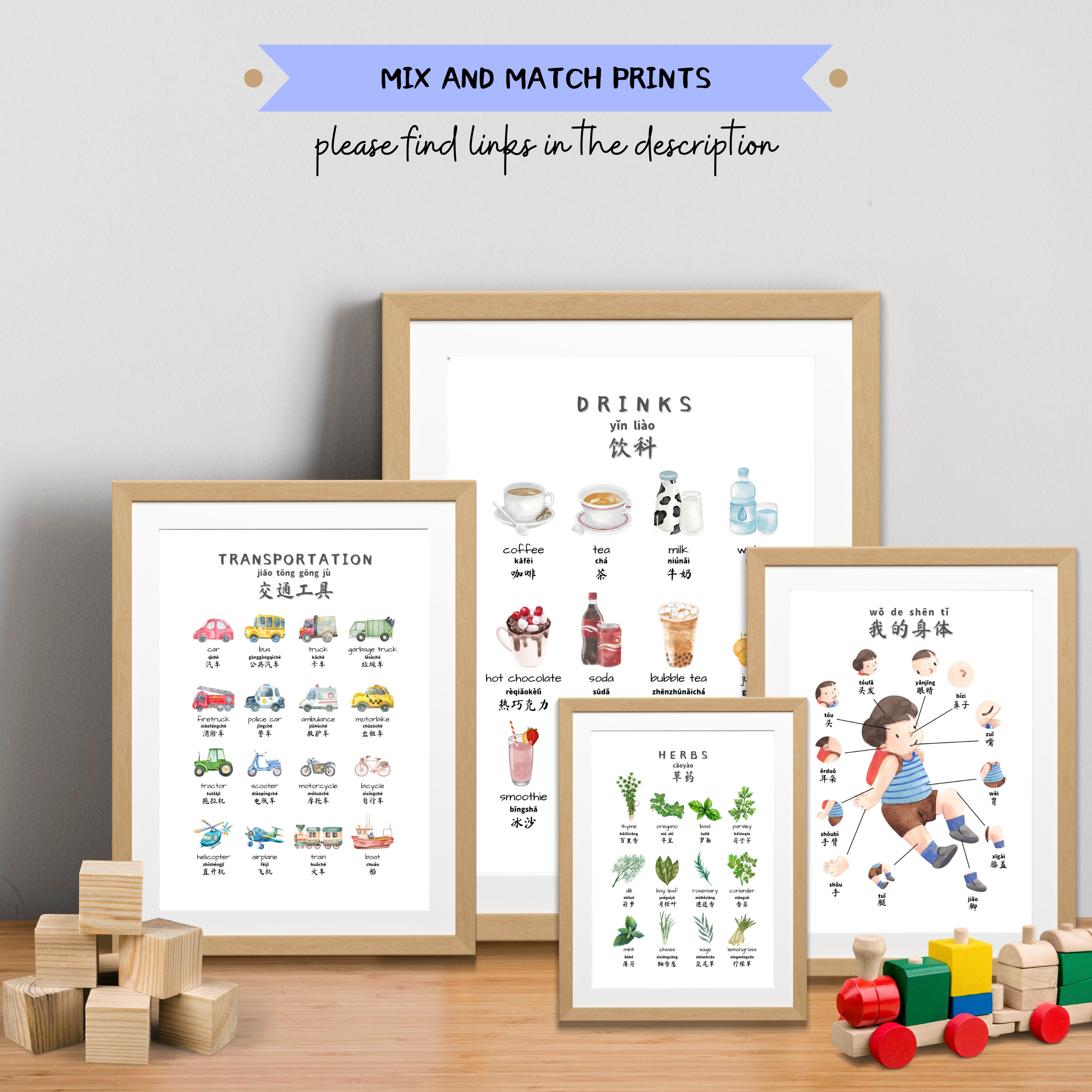 Transportation ENGLISH CHINESE Vehicles Bilingual Poster Transport ...