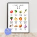 VEGETABLES CHINESE/ENGLISH Instant Download Educational Poster ...