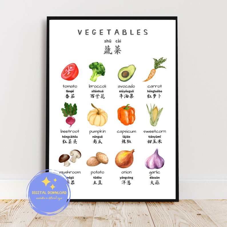 VEGETABLES CHINESE/ENGLISH Instant Download Educational Poster ...