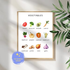 VEGETABLES ENGLISH Instant Download Educational Poster Montessori ...