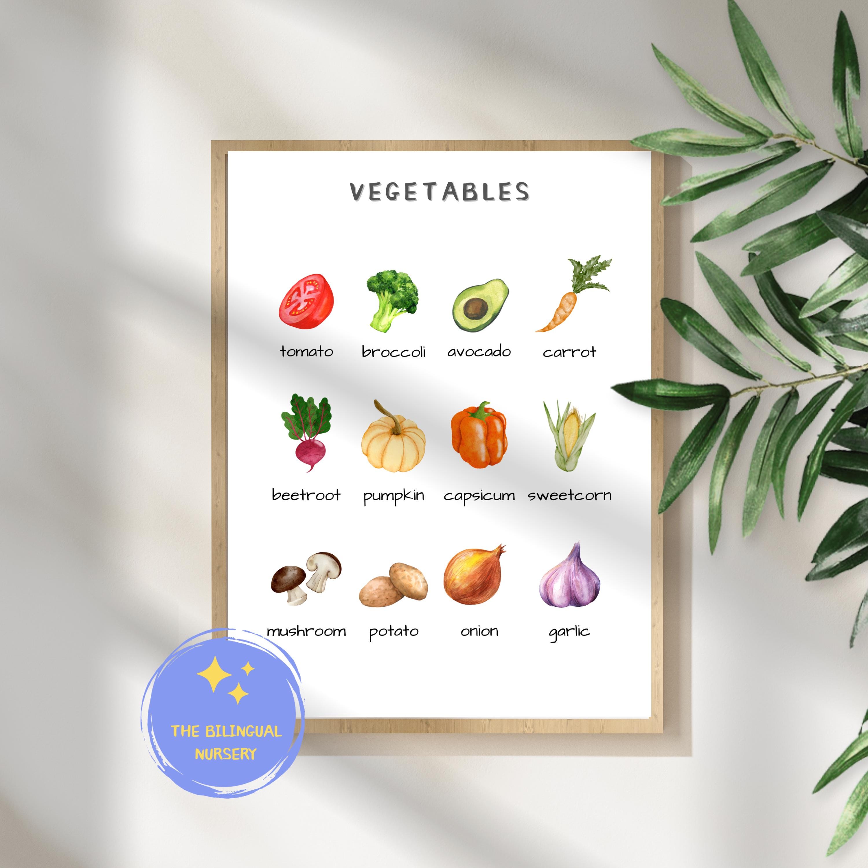 VEGETABLES ENGLISH Instant Download Educational Poster Montessori ...