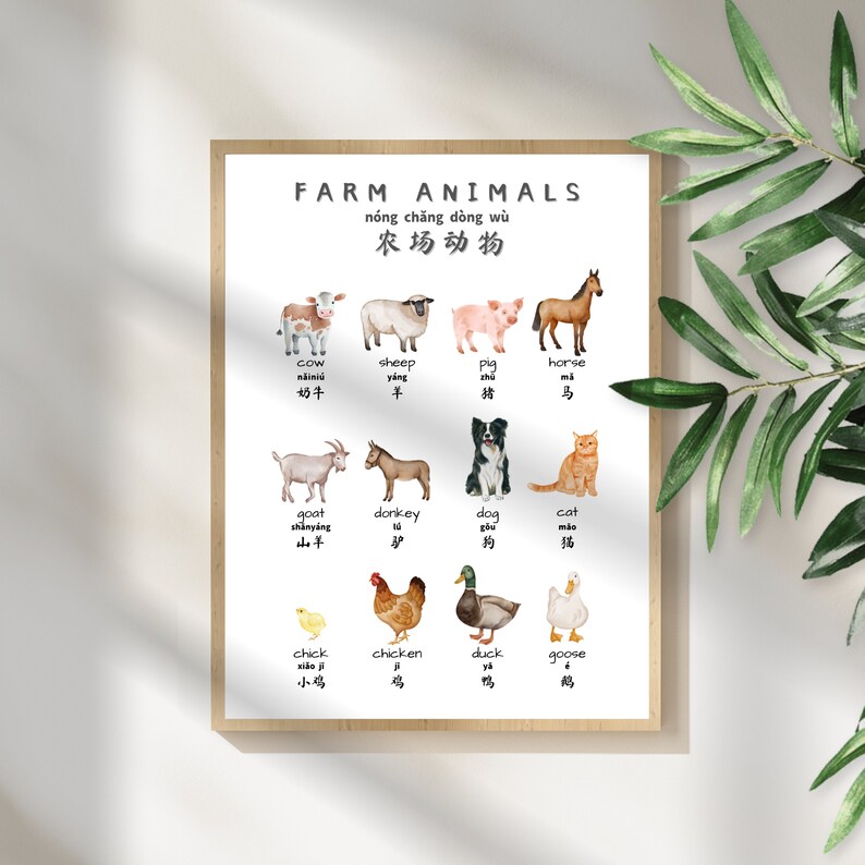 Farm Animals ENGLISH/CHINESE Bilingual Instant Download Educational ...