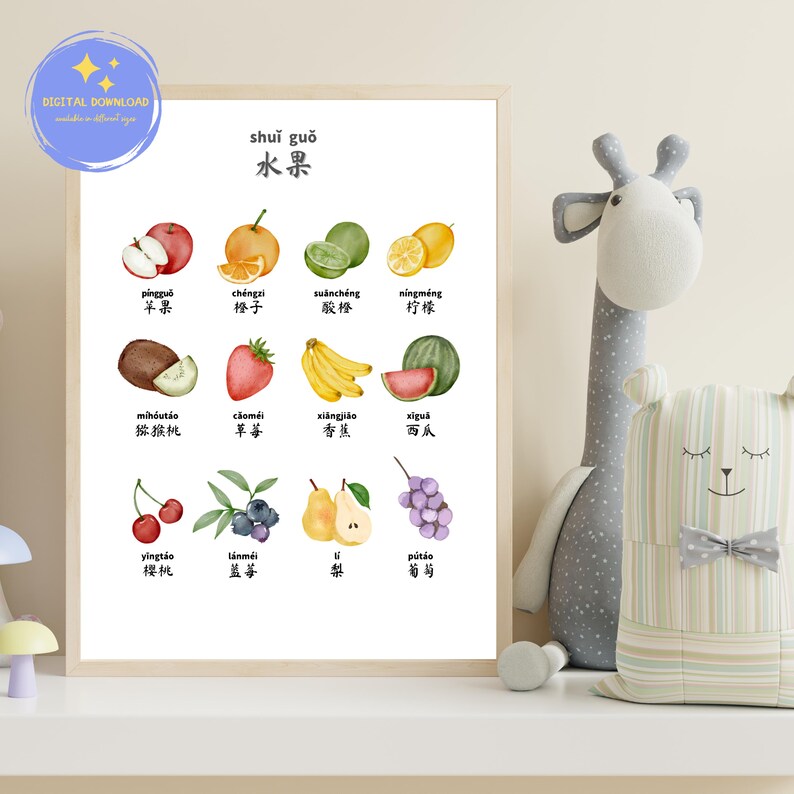 FRUITS CHINESE Instant Download Educational Poster Montessori Children ...