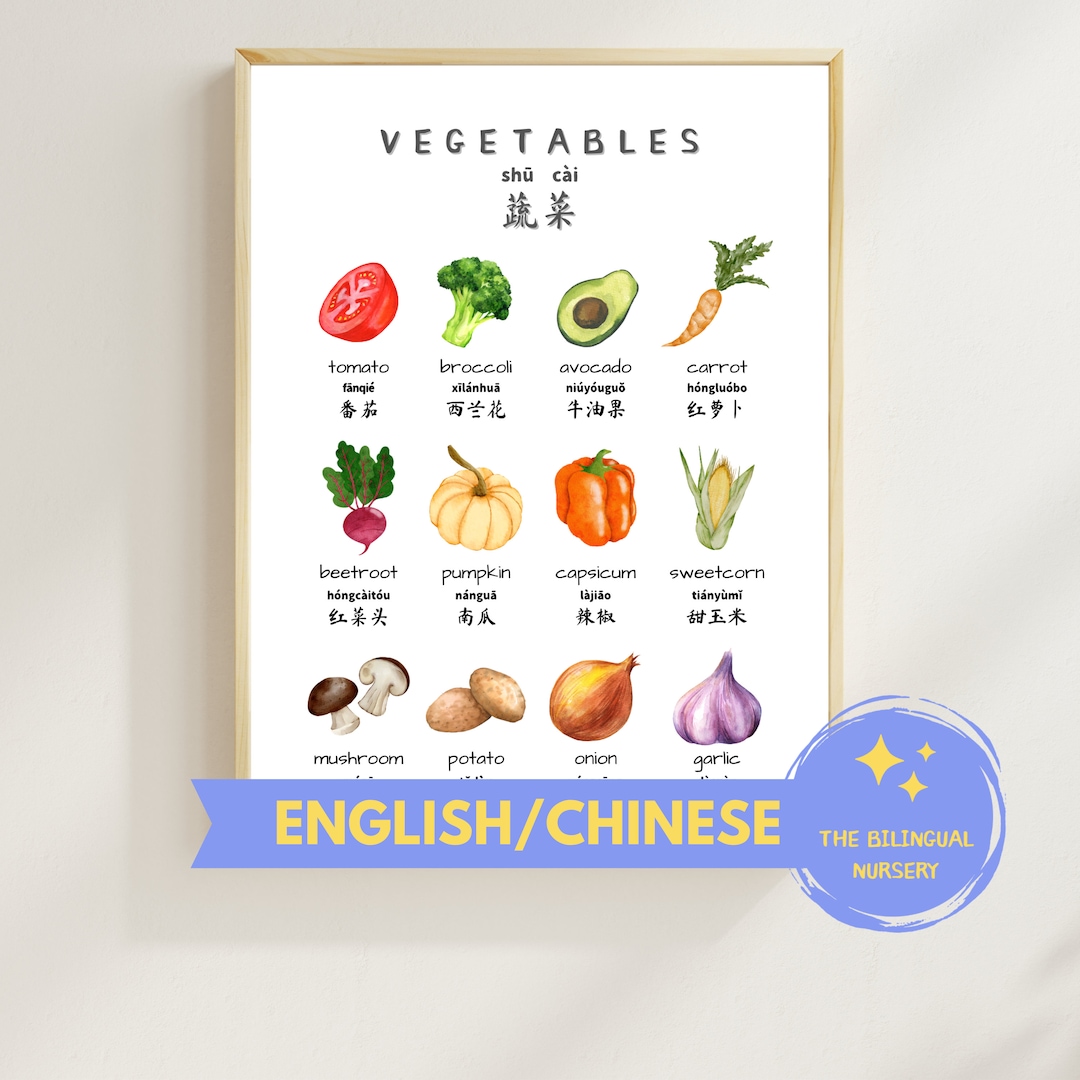 VEGETABLES CHINESE/ENGLISH Instant Download Educational Poster - Etsy