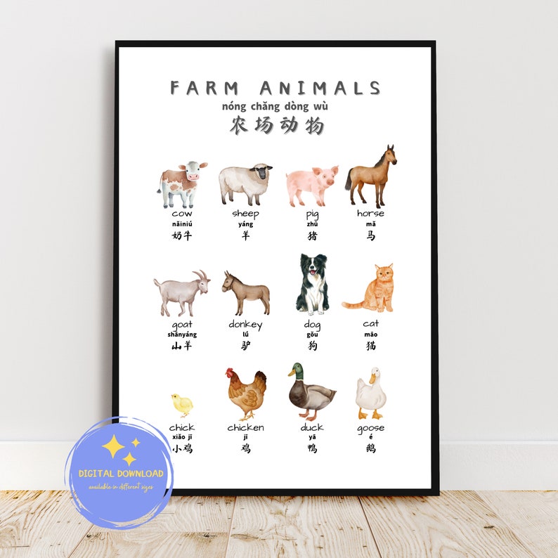 Farm Animals ENGLISH/CHINESE Bilingual Instant Download Educational ...