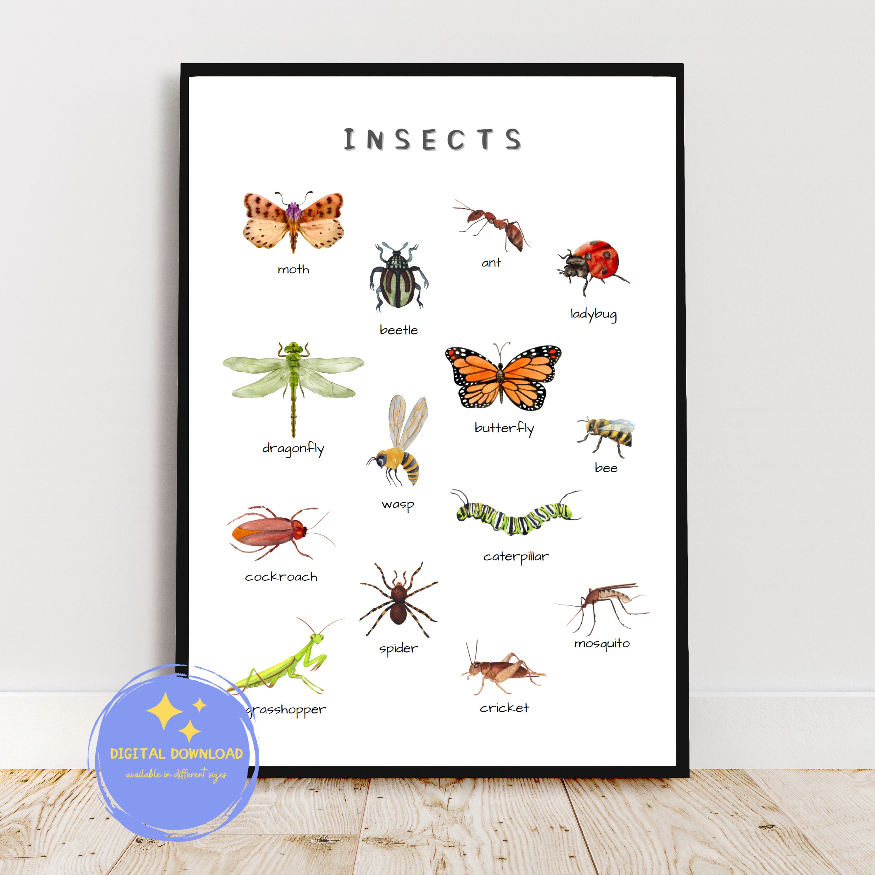 Insects ENGLISH Poster Instant Download Montessori Kids - Etsy
