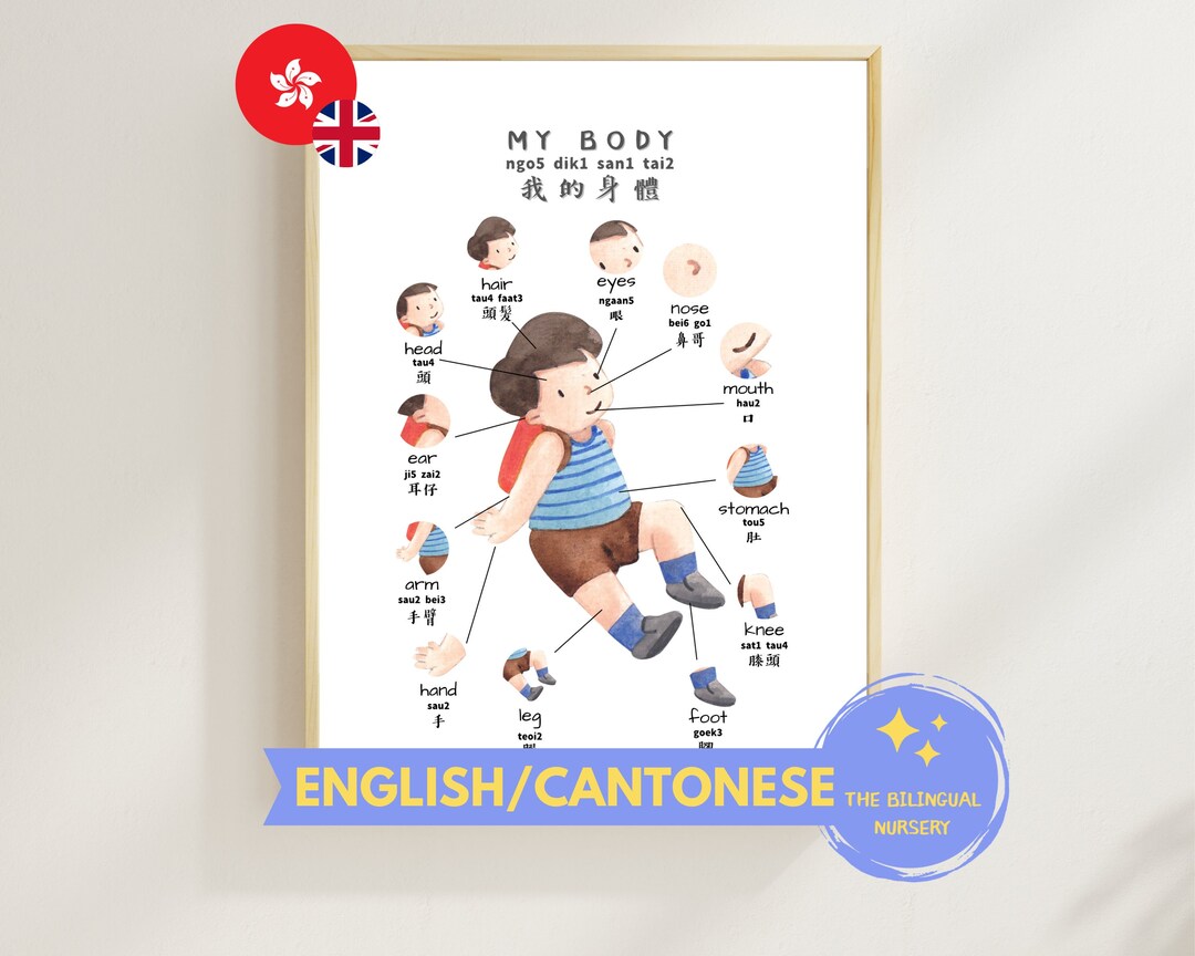 My Body ENGLISH/CANTONESE Bilingual Poster Instant Download Montessori ...
