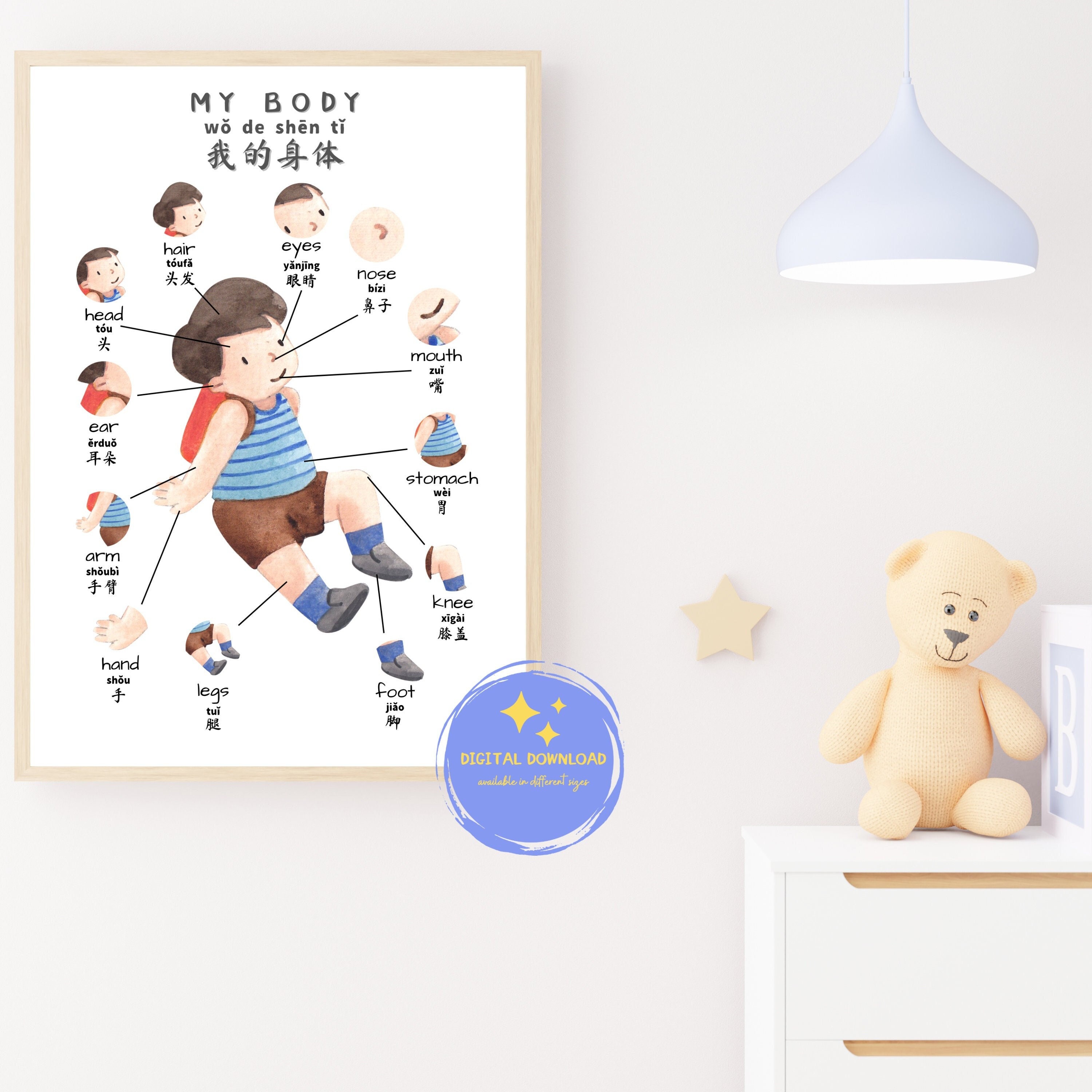 My Body ENGLISH CHINESE Bilingual Poster Simplified and Traditional ...