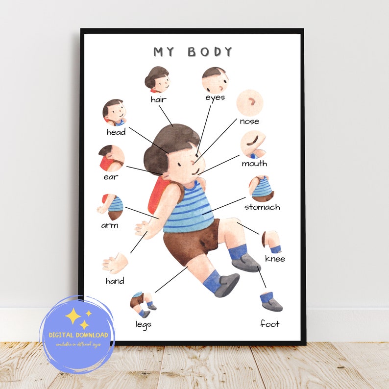 My Body ENGLISH Poster Instant Download Montessori Kids Children ...