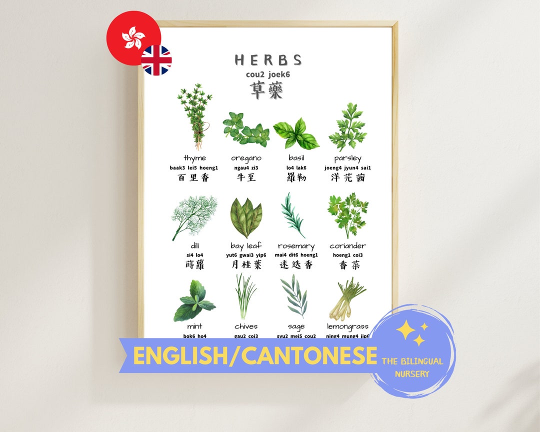 Herbs Cantonese English Poster Bilingual Herbs Poster Educational Kids ...