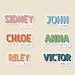Personalized Name Sticker Custom Name Sticker Shadow Name - Etsy