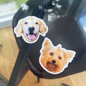 Custom Pet Stickers, Custom Pet Photo Stickers, Custom Dog Stickers ...