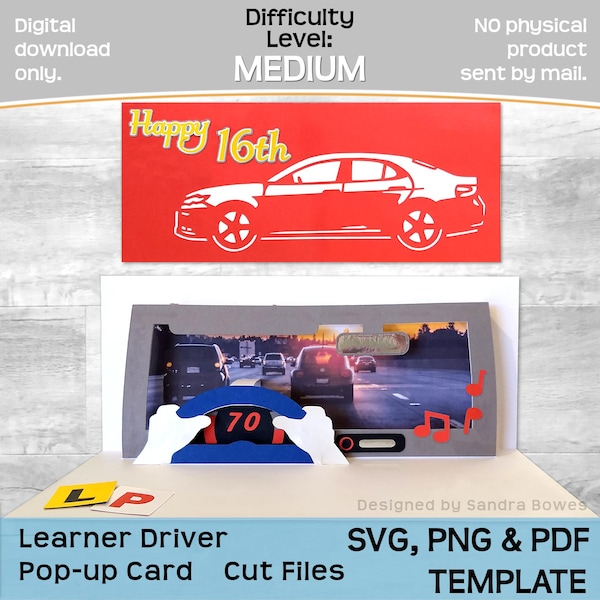 Funny Card Drivers Permit - Etsy