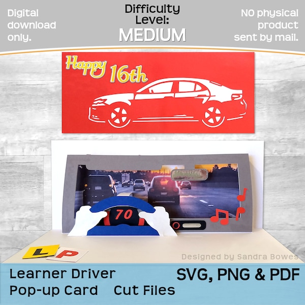 Funny Card Drivers Permit - Etsy