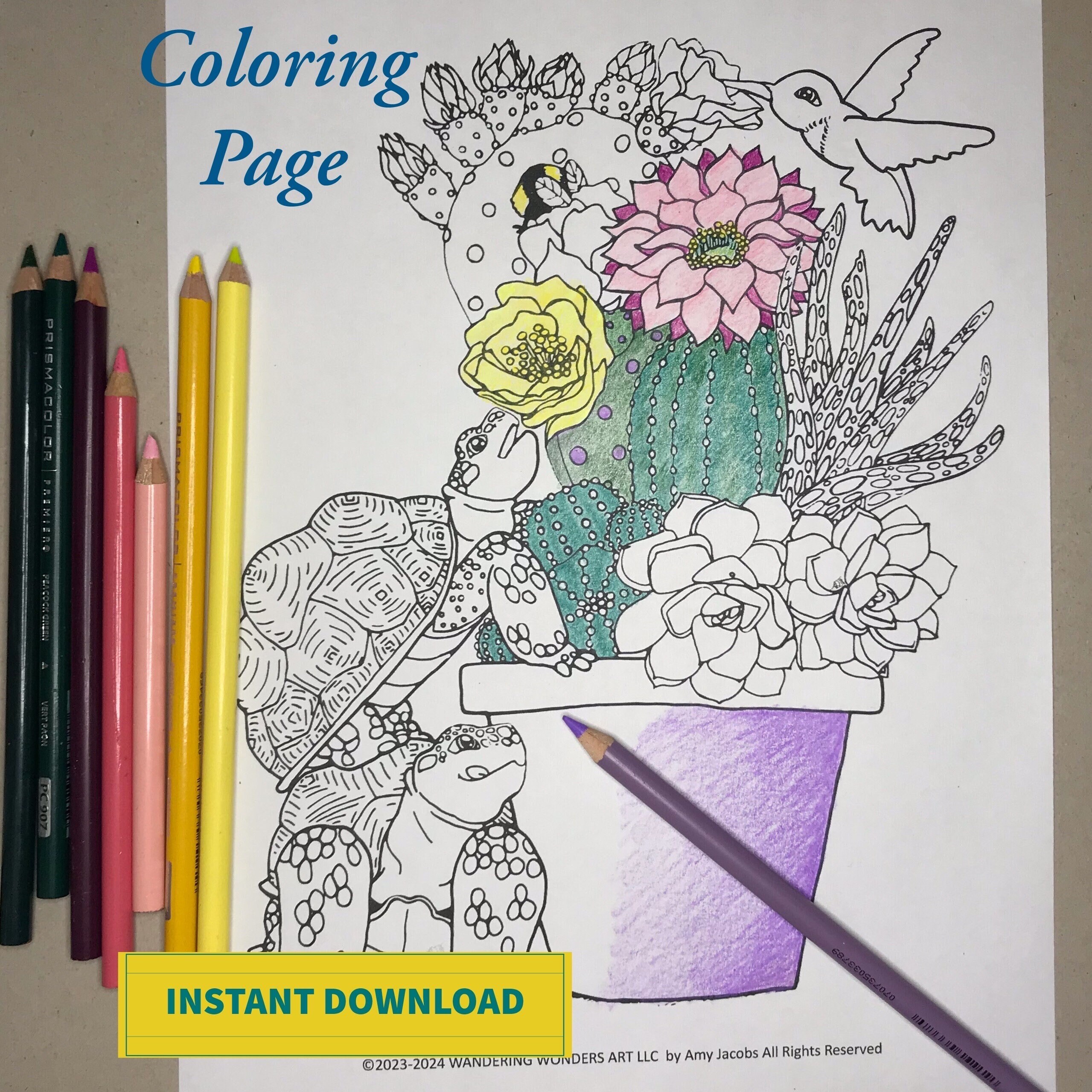 Desert Tortoise Coloring Page Printable, American Southwest Coloring ...