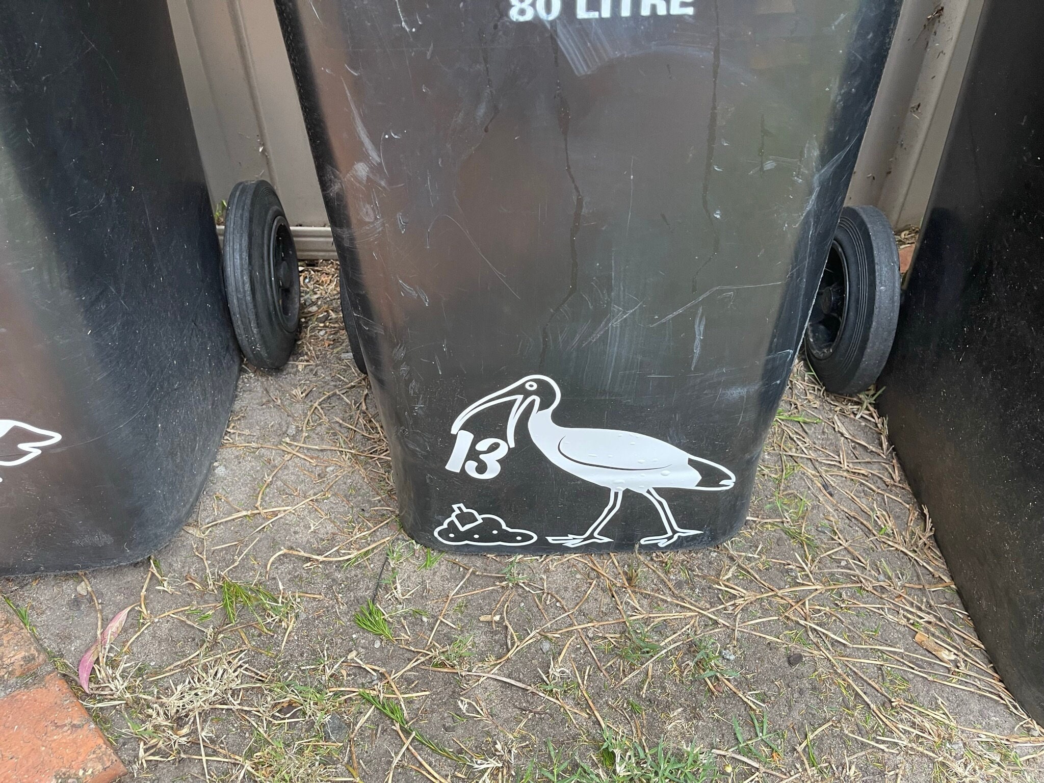 Bin Chicken SVG File - Cut It Out and Stick It on Your Bin. Number 2 - Etsy