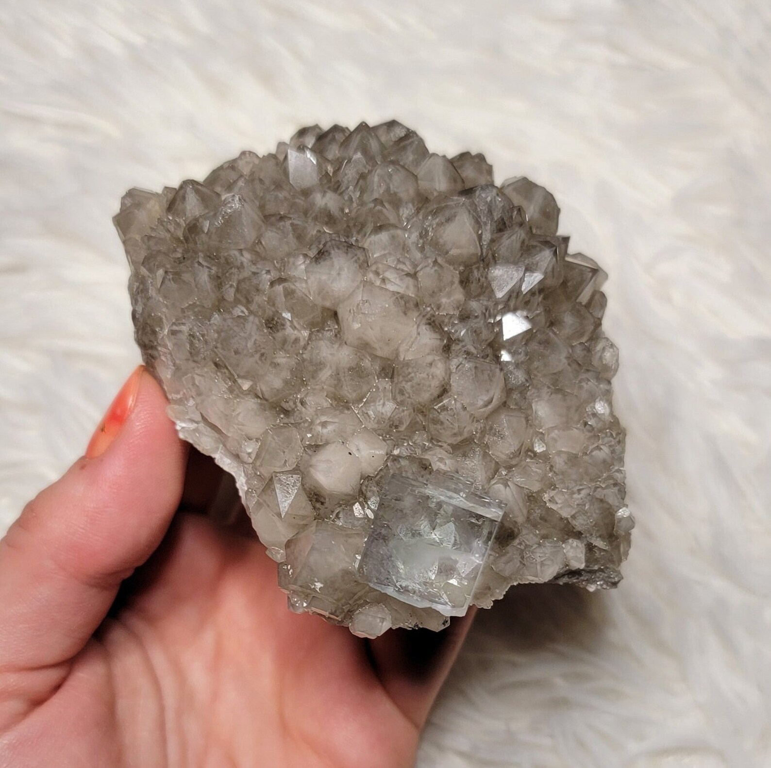 Icy Mint Green Cubic Fluorite on Grey Phantom Quartz Matrix - Cabinet ...