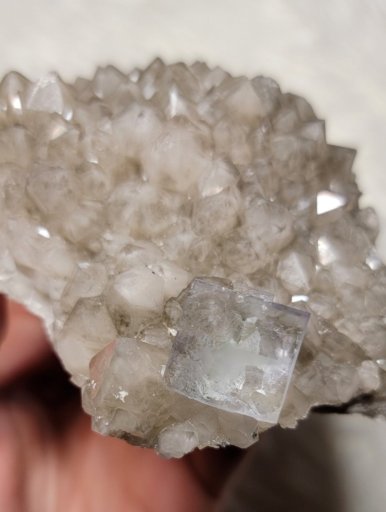 Icy Mint Green Cubic Fluorite on Grey Phantom Quartz Matrix - Cabinet ...