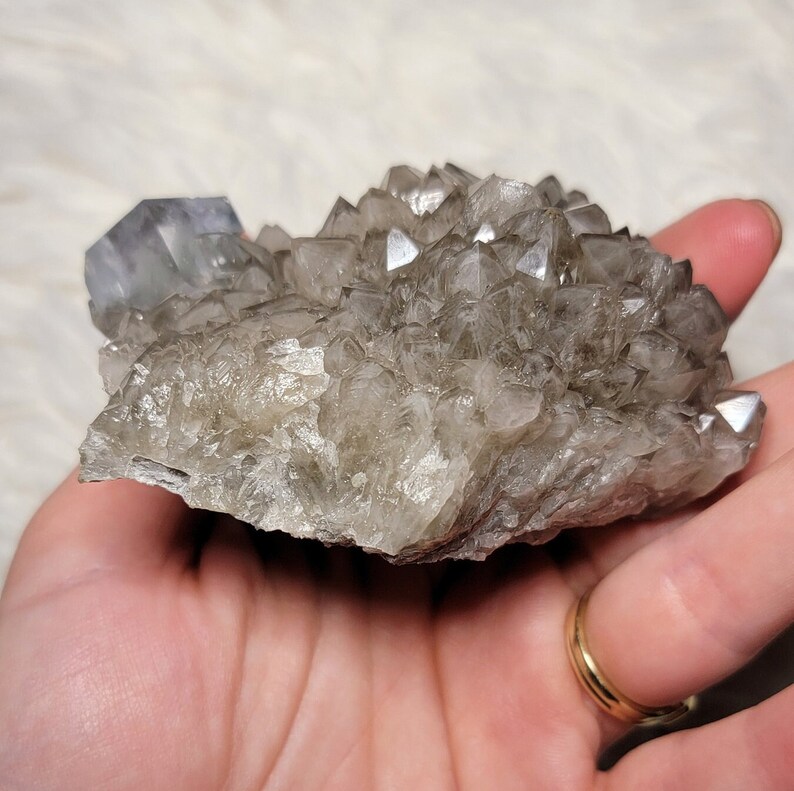 Icy Mint Green Cubic Fluorite on Grey Phantom Quartz Matrix - Cabinet ...