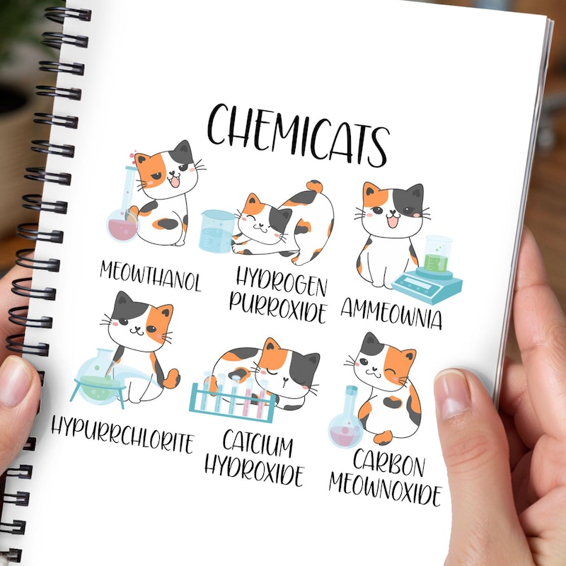Funny Science Notebooks - Etsy