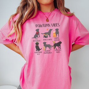 Labrador Retriever Fall Vibes Shirt, Comfort Colors Dog Fall Puns Shirt ...