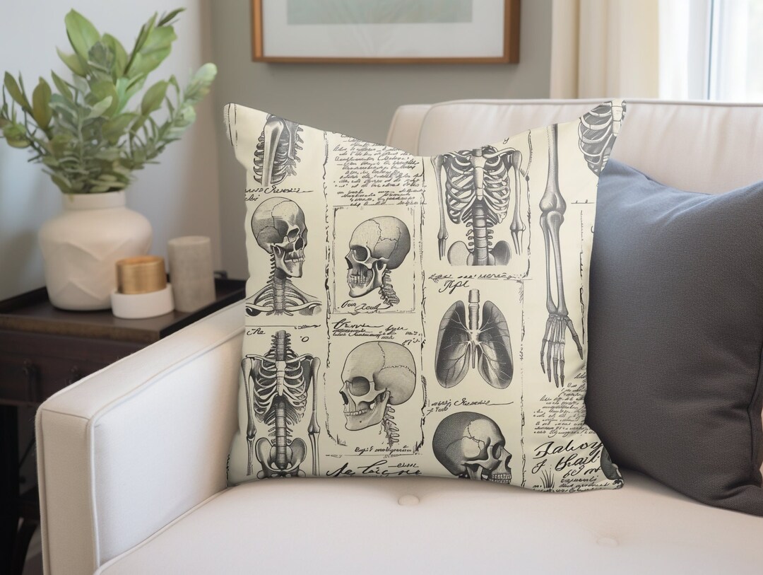 Vintage Anatomy Throw Pillow, Science Pillow Home Decor, Gift for ...