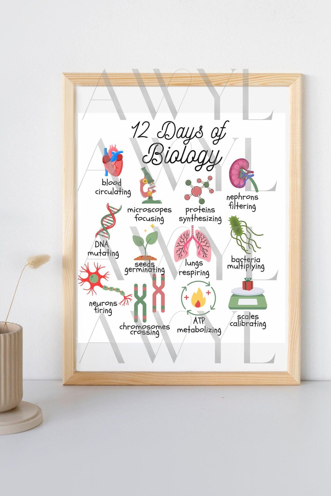 Science Teacher Biology Christmas Digital Print, 12 Days of Biology ...