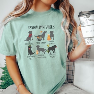 Labrador Retriever Fall Vibes Shirt, Comfort Colors Dog Fall Puns Shirt ...
