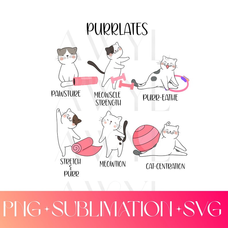 Pilates Funny Cats PNG SVG Digital Download File - Etsy