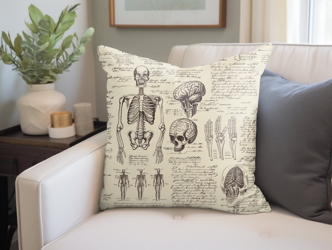Vintage Anatomy Throw Pillow, Science Pillow Home Decor, Gift for ...
