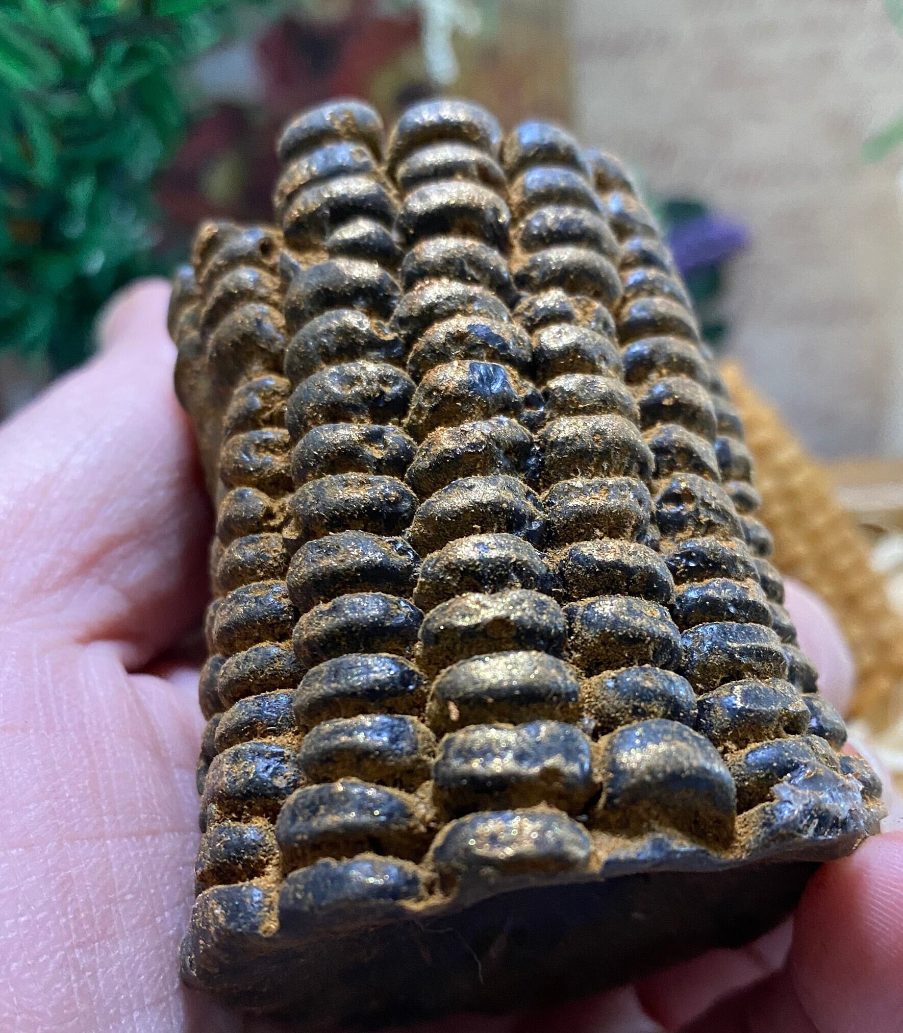 Corn Cob Chunks, Golden Available, Beeswax W/ Cinnamon Scent, Bowl ...