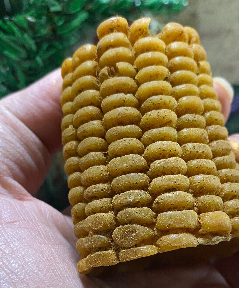 Corn Cob Chunks, Golden Available, Beeswax W/ Cinnamon Scent, Bowl ...